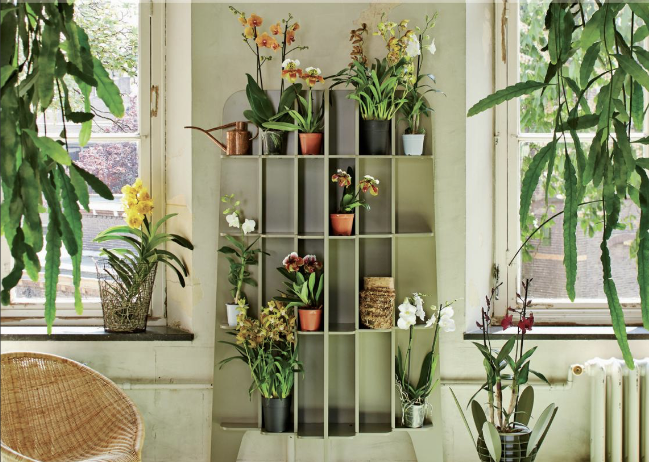 Interieurontwerper Roderick Vos presenteert online stijlgids