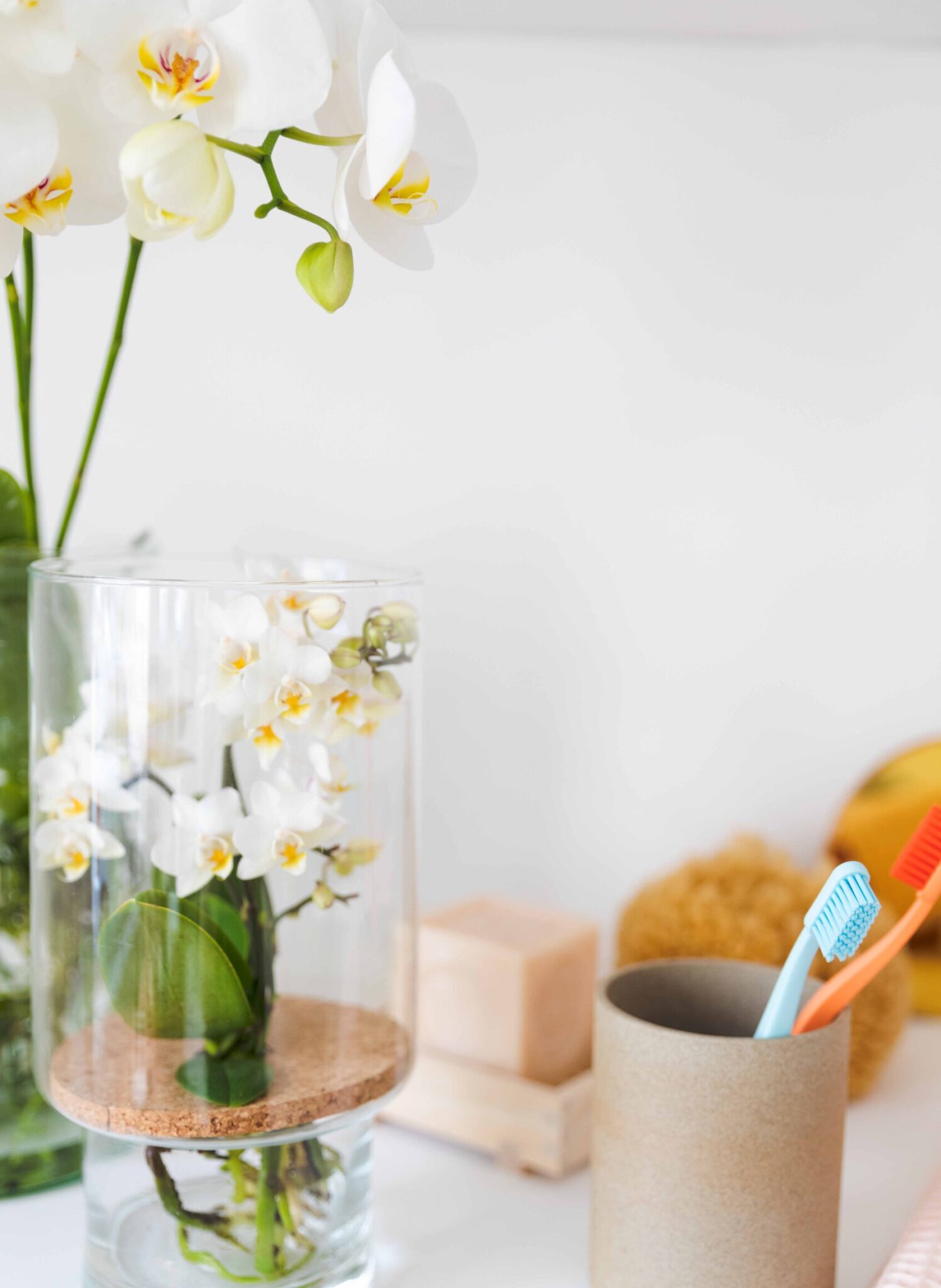 6 tips for styling your bathroom with orchids