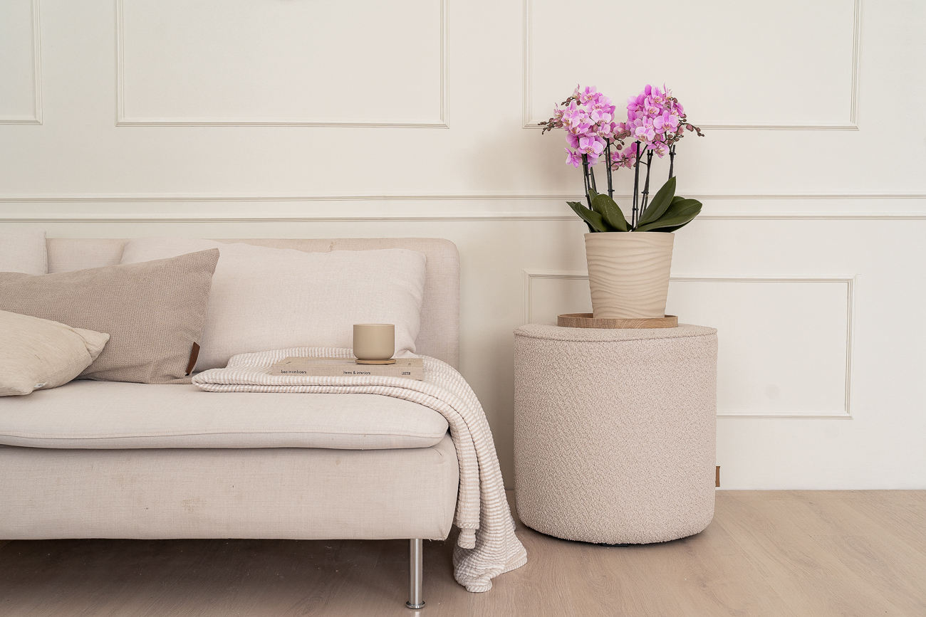 This is the Dulux Colour of the Year 2024: Sweet Embrace