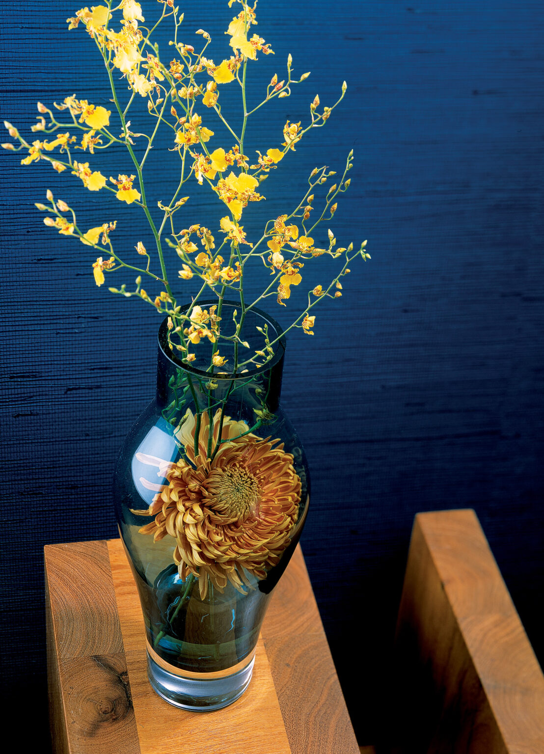 Bring the outdoors in with orchids in autumn colours