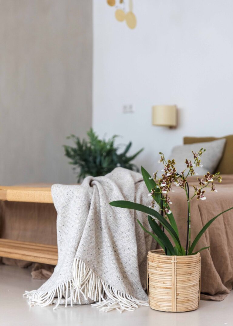 Bring the outdoors in with orchids in autumn colours