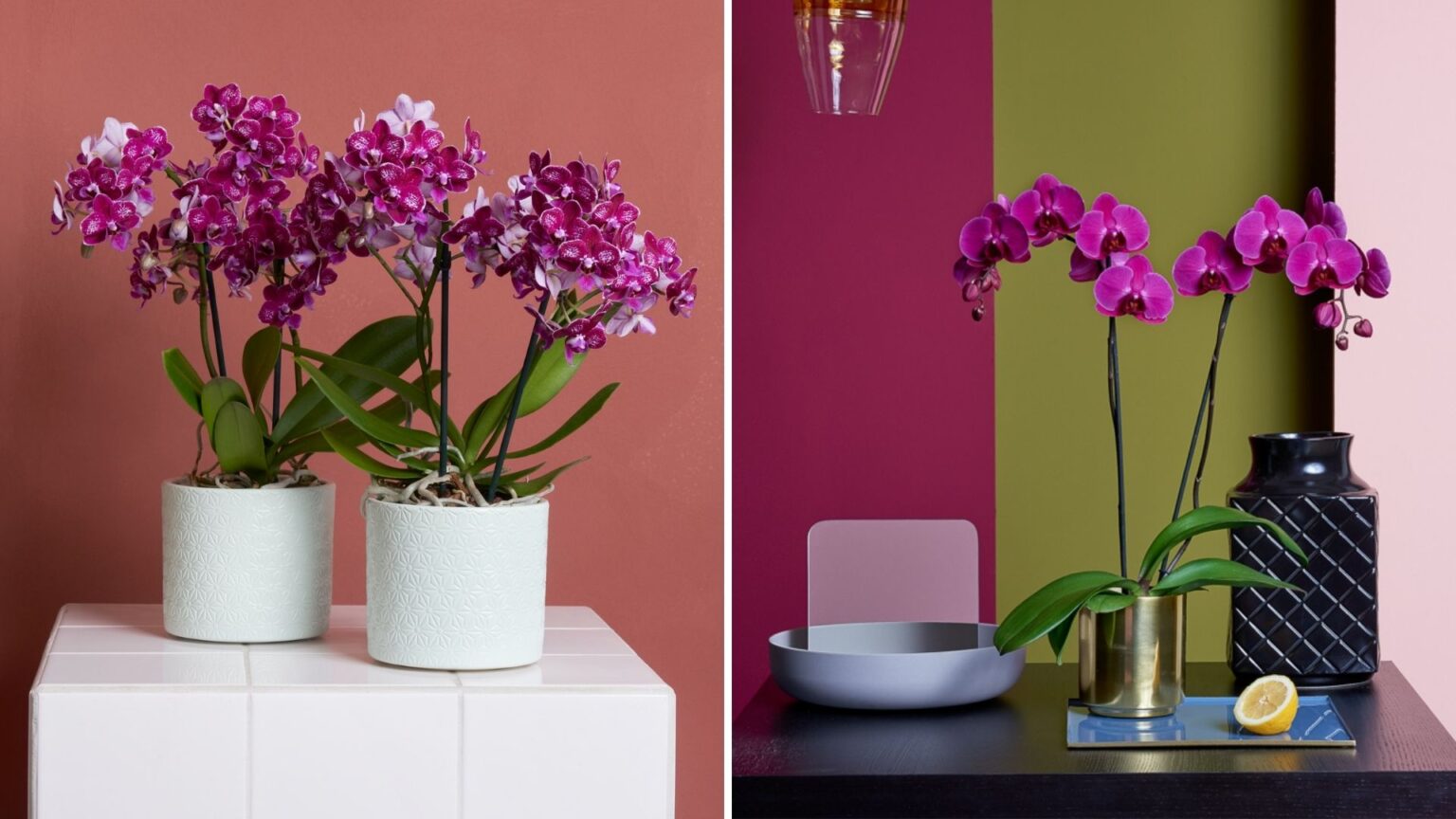 How to style the Pantone Colour of the Year 2023: Viva Magenta