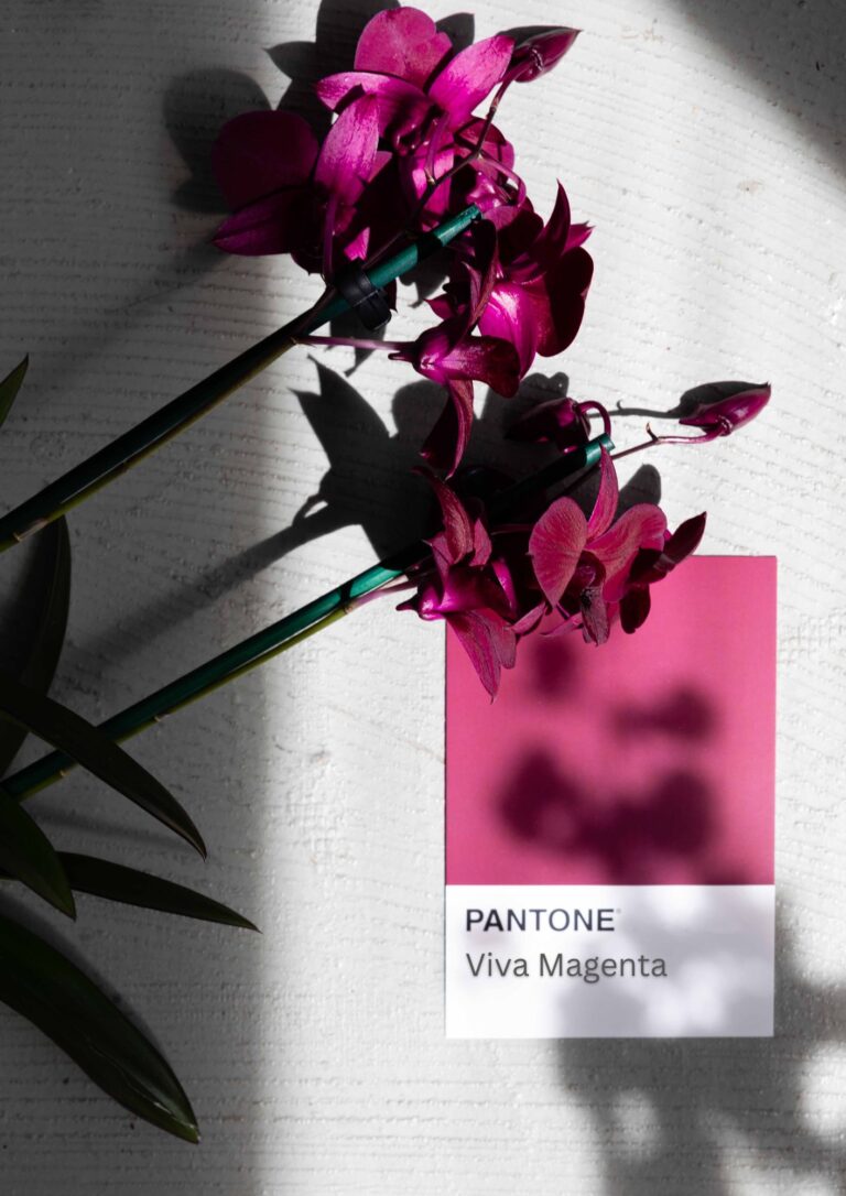 How to style the Pantone Colour of the Year 2023: Viva Magenta