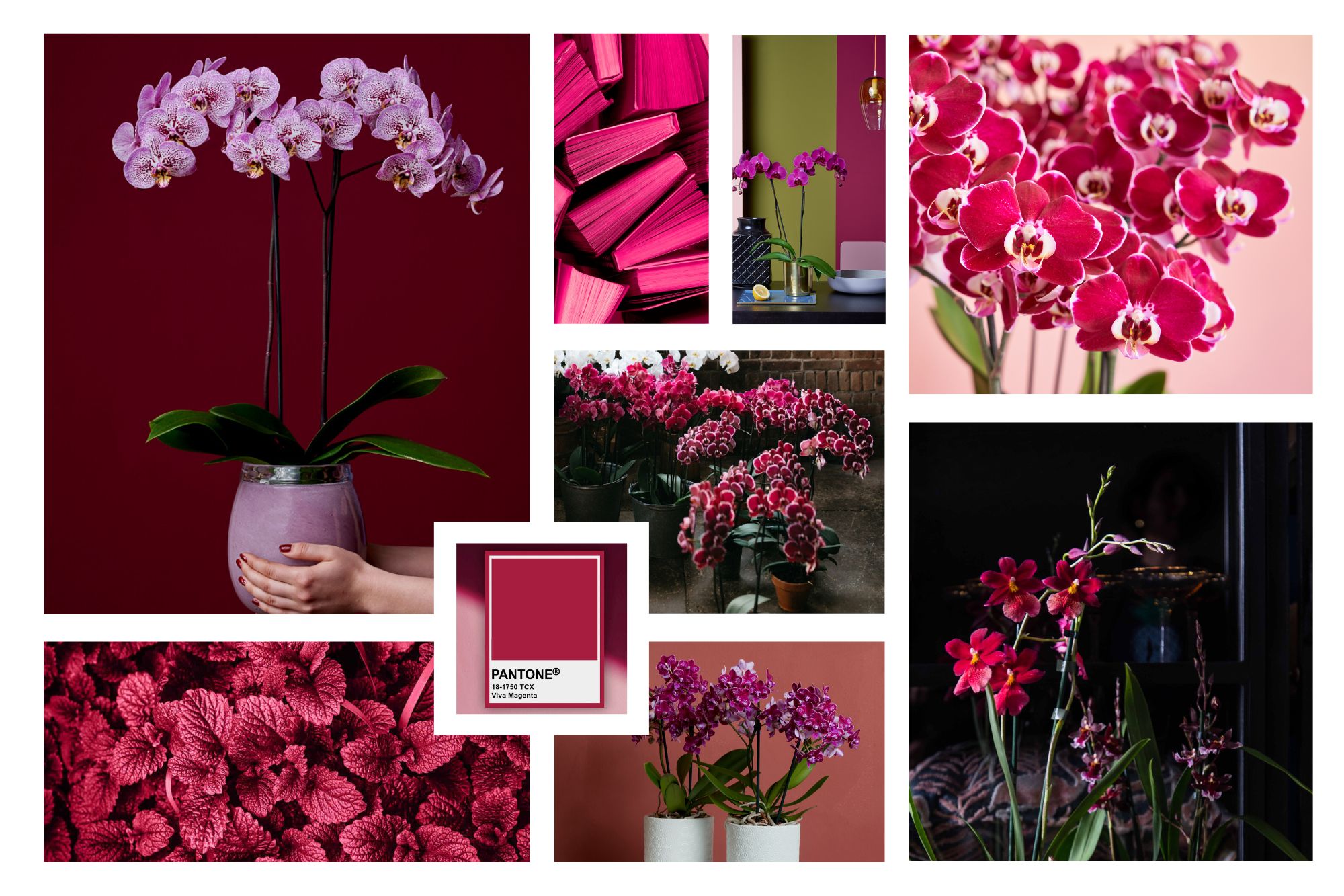 How to style the Pantone Colour of the Year 2023: Viva Magenta