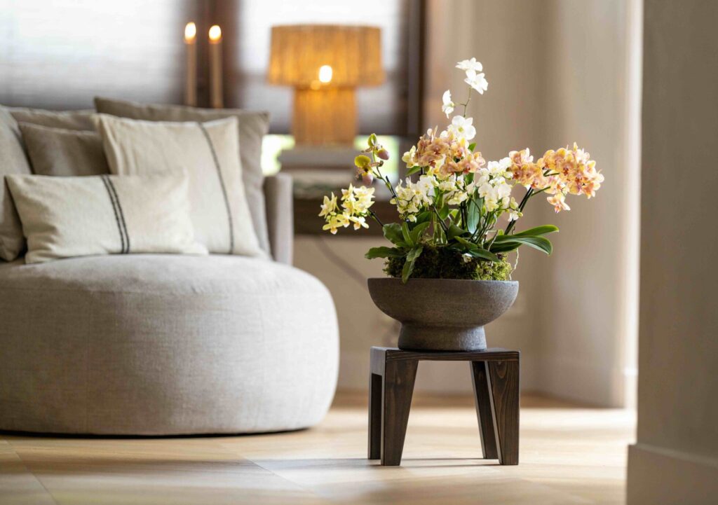 How to bring natural design into your interior this autumn