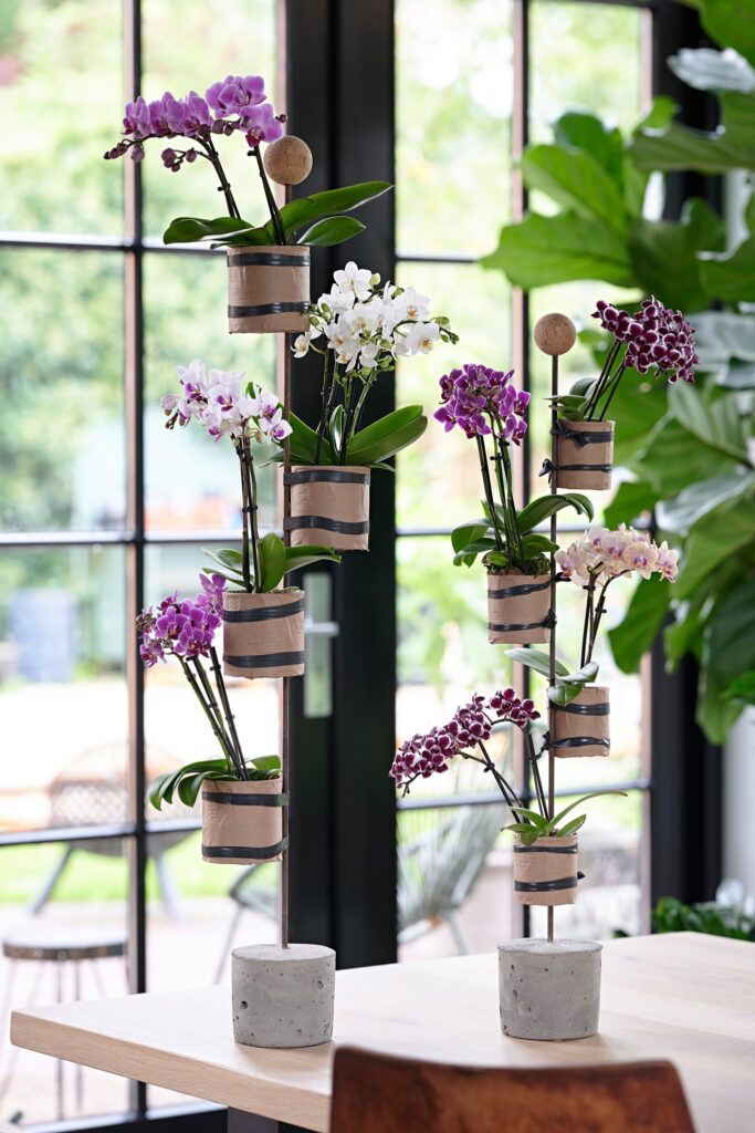 How to bring natural design into your interior this autumn