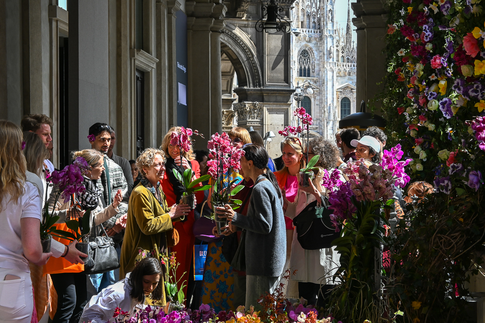 Thousands of orchid flowers add long-lasting colour to Milan Design Week