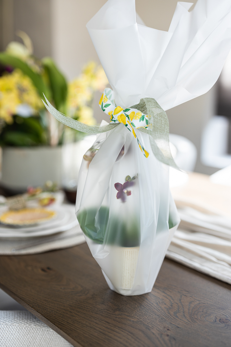 How to wrap an orchid as a gift
